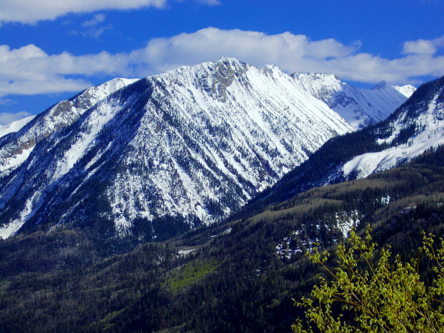 West Elk Mountains