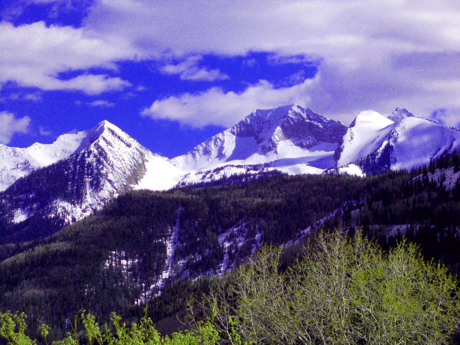 West Elk Mountains